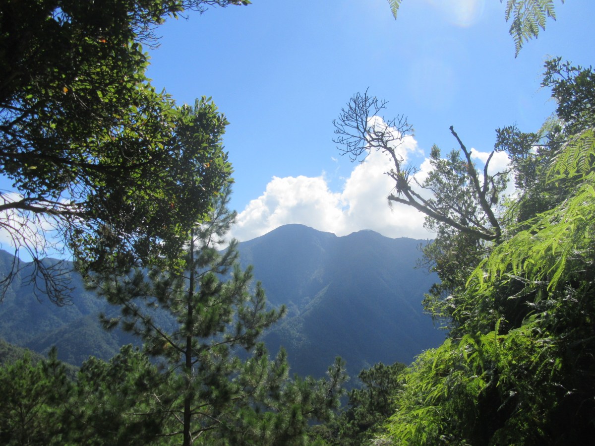Pico Turquino